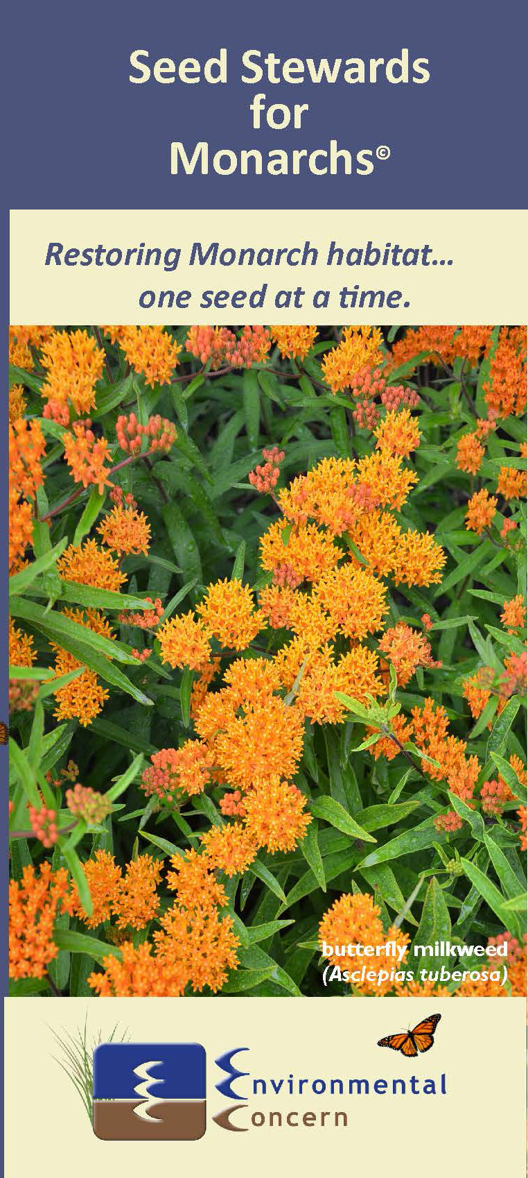 Seed Stewards for Monarchs – ECI