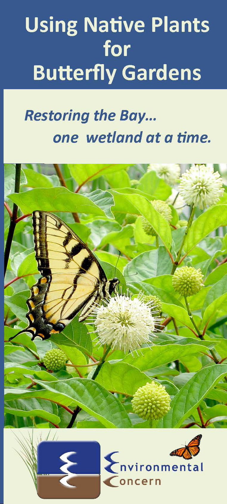 Seed Stewards for Monarchs – ECI